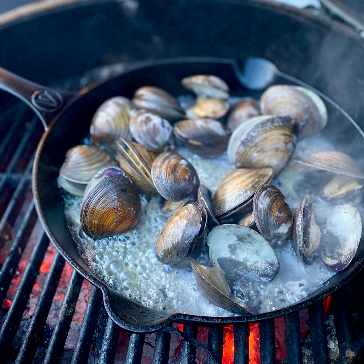 Easy Steamed Clams (aka Shabazi Clams)