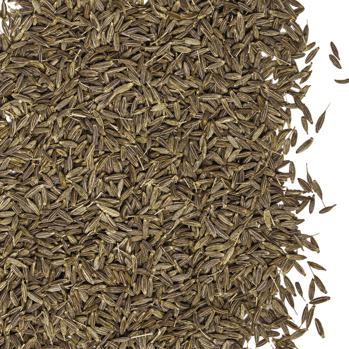 Cumin – La Boîte